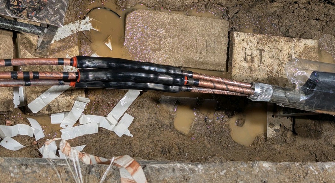 What are the sensors in diesel engine? - eeediary.com